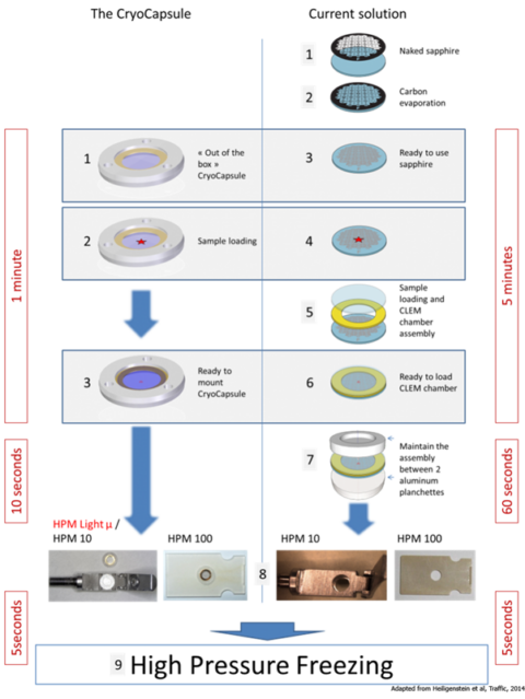 High pressure freezer - Labtech