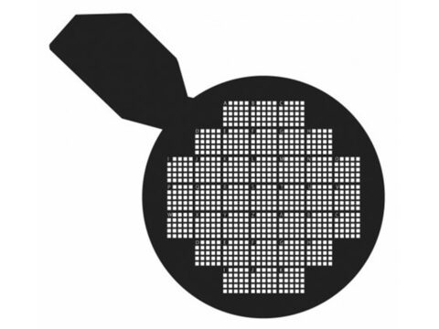 Special pattern with handles 400mesh finder Gold - Labtech