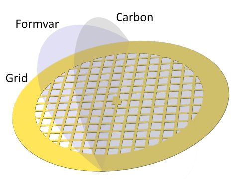 Formvar/Carbon film on Gold grids - 150 mesh - 25/box - Labtech