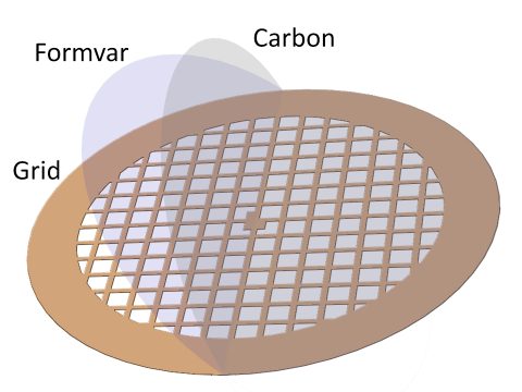 Formvar/Carbon film on Copper grids - 150 mesh - 50/box - Labtech