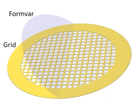 Formvar film on Gold grids - 200 mesh - 50/box - Labtech