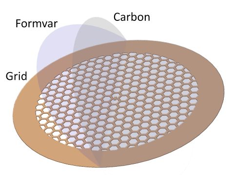 Formvar/Carbon film on Copper grids - 200 Hex - 100/box - Labtech