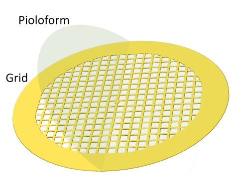 Pioloform film on Gold grids - 200 mesh - 25/box - Labtech