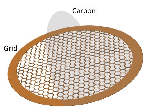 Carbon on 200 mesh hex Cu (50) - Labtech